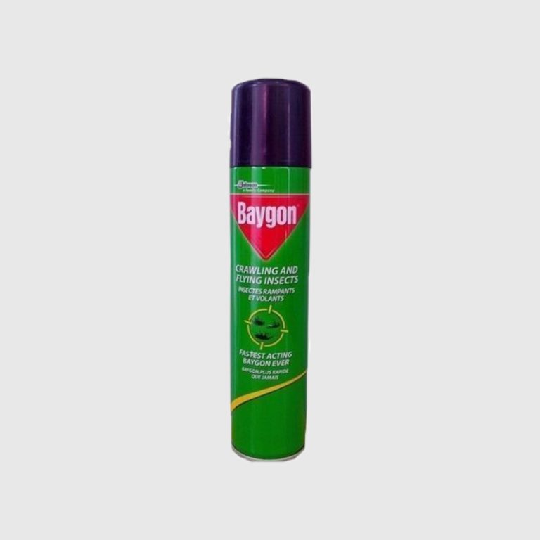 Baygon 300ML | Shoprite NG