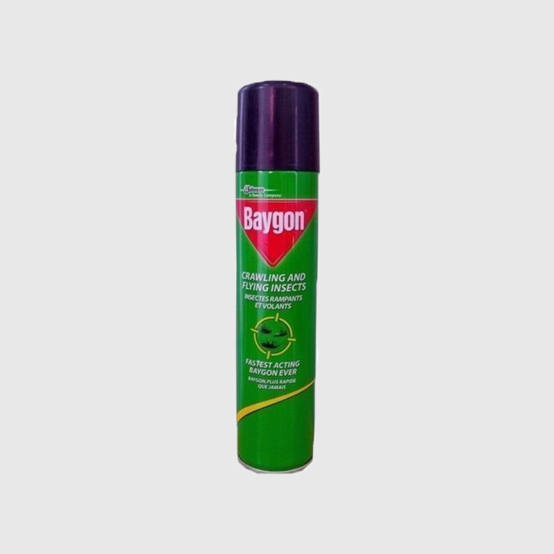 Baygon 300ML | Shoprite NG