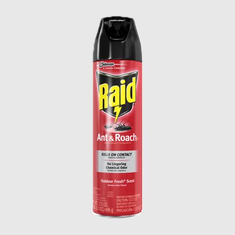 High Power Raid 300Ml Can | Shoprite NG