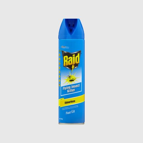 Insecticide Multi Purpose Raid 750Ml | Shoprite NG